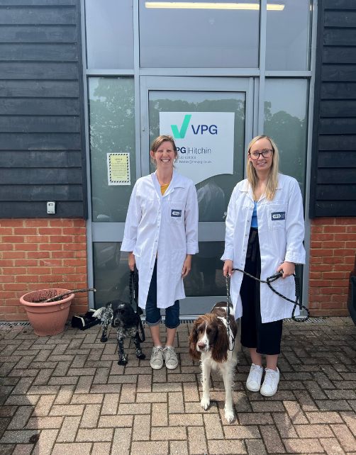 Hitchin - Veterinary Pathology Group